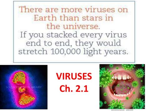 Ppt Viruses Ch 2 1 Powerpoint Presentation Free Download Id 2871479