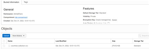 Many Ways To Provision Oracle Cloud Resources Using Terraform Conclusion Amis Technology Blog