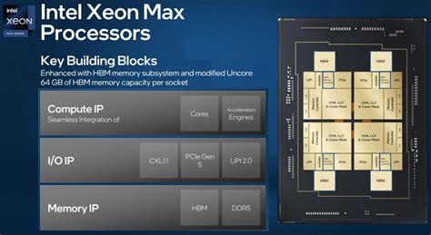 Intel Max Series Cpu E Gpu Con Memoria Hbm Per Velocizzare Hpc E Ia Hardware Upgrade