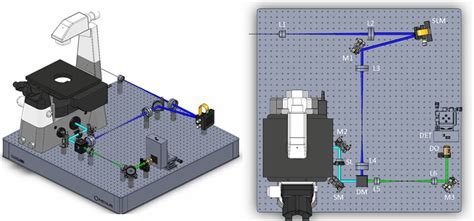 Schematic Optical Arrangement For Confocal Multibeam Flim Microscopy