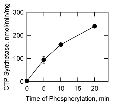 Effect Of Protein Kinase C Phosphorylation On E Coli Expressed Human Download High
