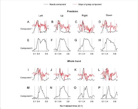 Temporal Coupling Between Scaling Coefficients Of Download