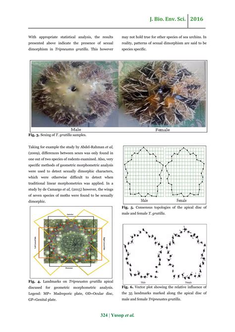 Using Thin Plate Spline Grids In Modeling Sex Differences In The Shapes