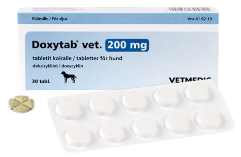 Vetmedic