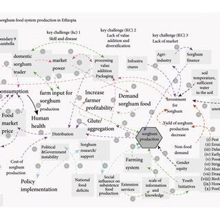 Causal Loop And System Dynamics Relationship Map For Sorghum Download Scientific Diagram