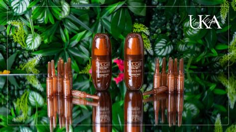 Оройн мэнд манайхаан Уянхолбоо Uyankholboo