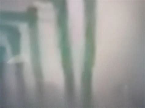 Polly Anne Mouselings Remix Background By Qaani On Deviantart