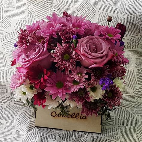 ყვავილები იასამნისფერში Camellia Ge ჰოლანდიური ყვავილები