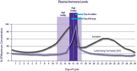 Ovulation Calculator Estimate Your Most Fertile Days Clearblue