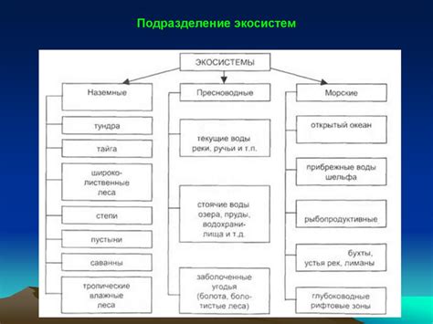 Структура и функционирование природных экосистем Раздел 4