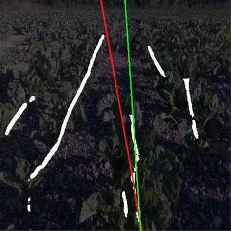 Deep Learning‐based Crop Row Detection For Infield Navigation Of Agri‐robots Silva Journal