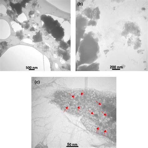 A Sem Image And B Edx Spectrum Of Biosynthesized Sno2 Zno Bentonite Download Scientific Diagram