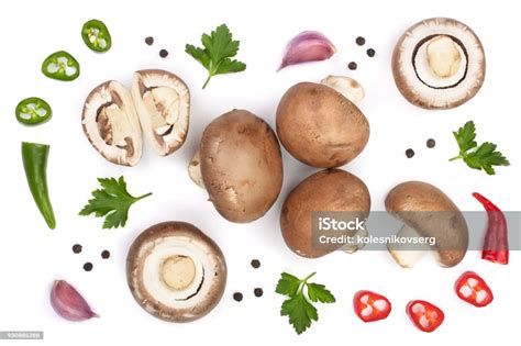 신선한 샴 피 뇽 버섯 파 슬 리 후추 그리고 레드 핫 칠리 페퍼스 흰색 배경에 고립 상위 뷰 3에 대한 스톡 사진 및 기타 이미지 Istock