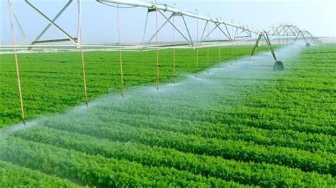 مشروع مستقبل مصر حققنا اكتفاء ذاتيا كاملا من السكر