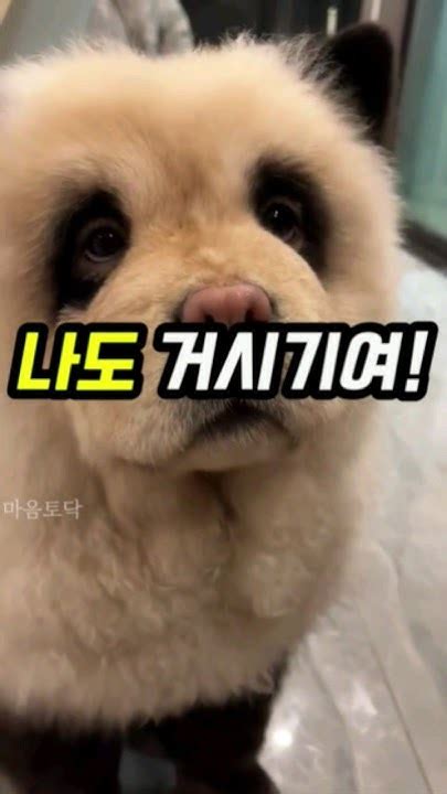 소중한 거시기가 거시기에 있다구 Youtube