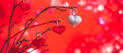 발렌타인 선물 상자는 제로 폐기물을 설정합니다 선물 환경 친화적 인 공예 종이 상자 빨간색 배경 휴일 개념 결혼식 초대장 인사말 카드 와 어머니의 날 긴 배너 3 월 8