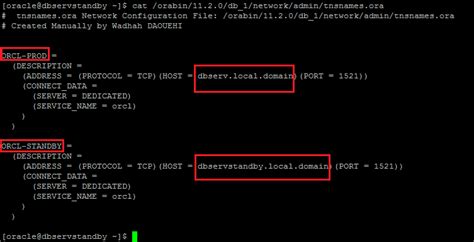 Cattnsnamesora Wadhah Daouehi