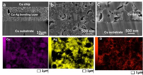 A The Sem Image Of Cross Section Of Cu Cu Joint By Cu Ag Composite Download Scientific