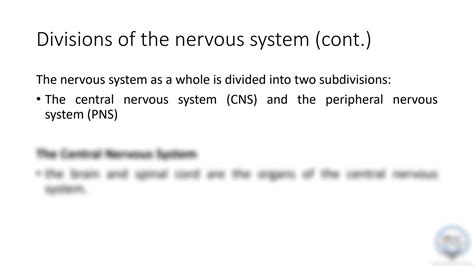 SOLUTION Physiology Basic Of Nervous System Lecture Easy Class Lecture Standard For University