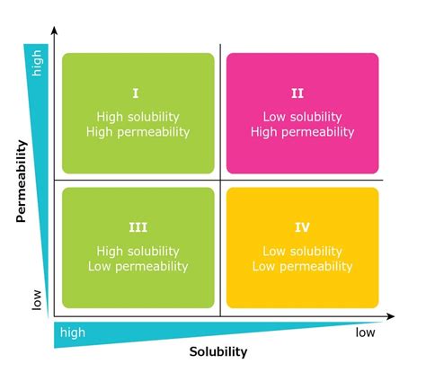Api Solubility And Dissolution Enhancement Via Formulation
