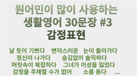 원어민이 많이 사용하는 생활영어 30문장 3 감정표현 Youtube