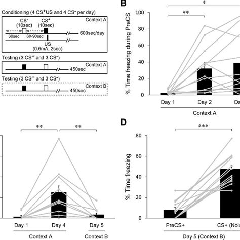 Contextual And Cued Fear In A Discriminative Afc Paradigm A