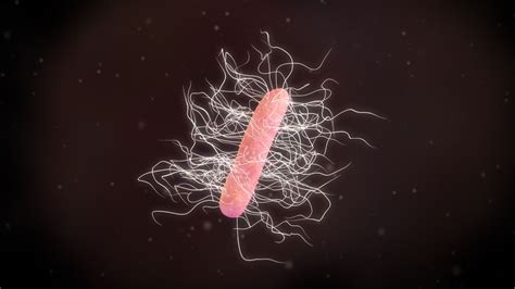 British Journal Of Nursing An Overview Of Clostridioides Difficile