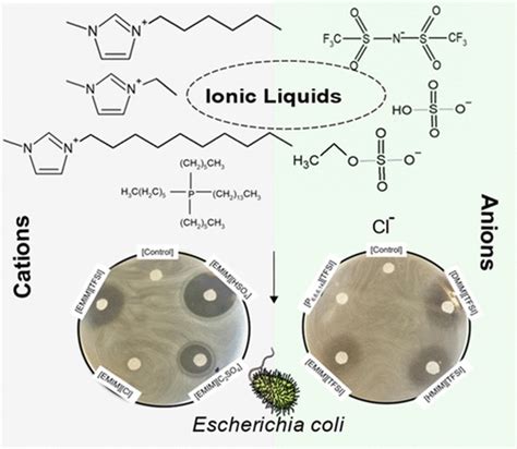 Acs Applied Bio Materials Vol 5 No 11