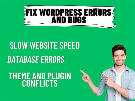 A Fix Wordpress Bugs Issues Or Errors For You In One Hour Upwork
