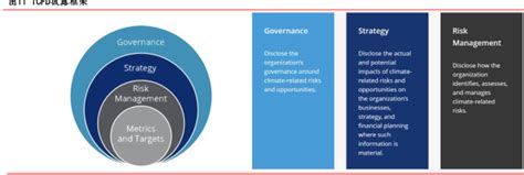 阳4gri标准：确定实质性议题的过程 2024年10月 行业研究数据 小牛行研