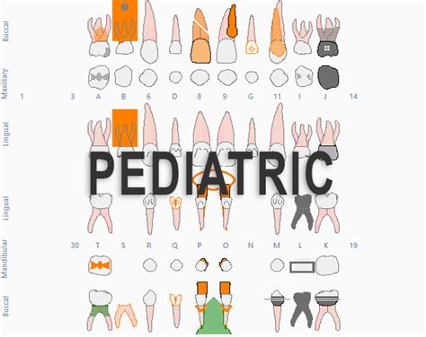 Eaglesoft Clinical Mastery Enhance Dental Workflow Today — The Crew Process