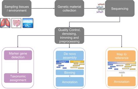Visualizing Metagenomic And Metatranscriptomic Data A Comprehensive Review Pmc
