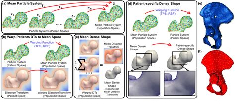 particle based shape modeling