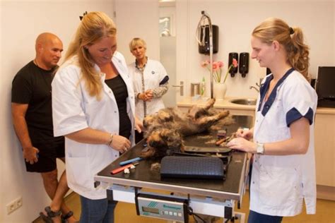 Dierenkliniek Culemborg