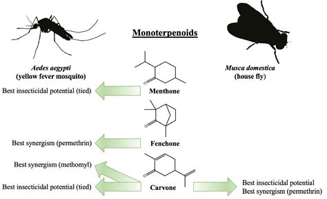 Insecticidal And Synergistic Potential Of Three Monoterpenoids Against
