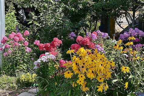 Декоративное цветоводство в ландшафтном дизайне • Сад и участок