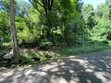 For Sale‼️‼️‼️ Titled Lot 3 4mins Drive Armela Ana Abuan