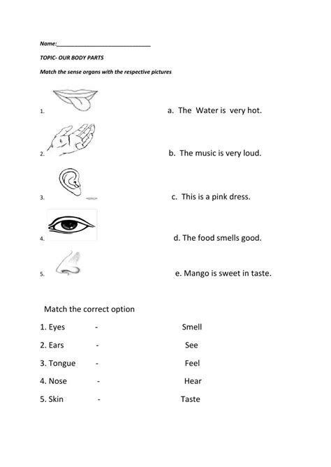 Sense Organs Interactive Activity Artofit