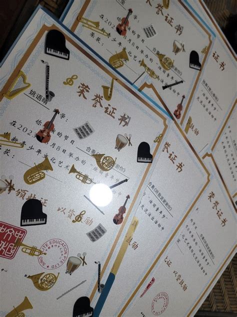 Pipa Zhong Ruan Lesson Hobbies And Toys Music And Media Musical Instruments On Carousell