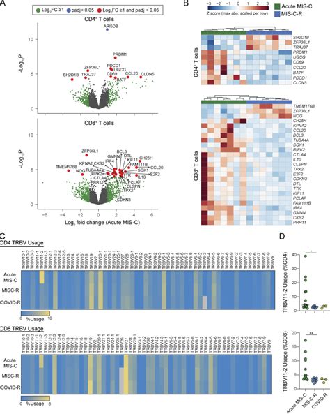 Distinct Transcriptional Signatures And Tcr Clonal Expansions Of Mis C