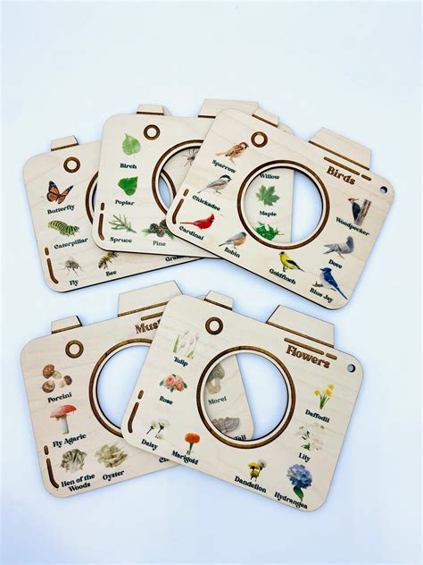 Nature Viewfinders Set Of 5 в 2025 г Занятия по методу монтессори Детские научные проекты