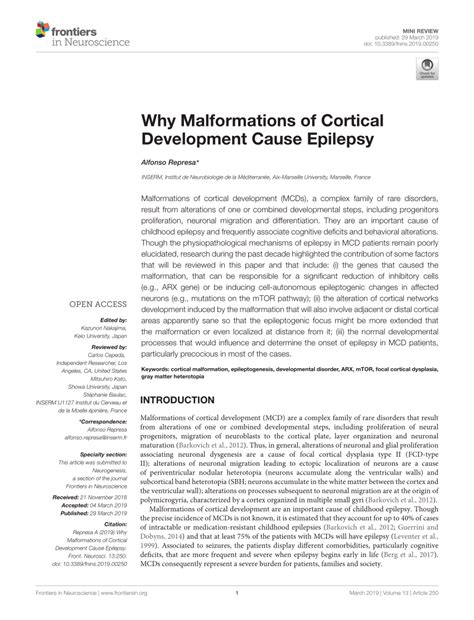 Pdf Why Malformations Of Cortical Development Cause Epilepsy