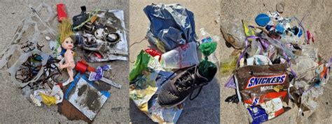 Laura Strobl On Linkedin Holiday California Beachcleanup