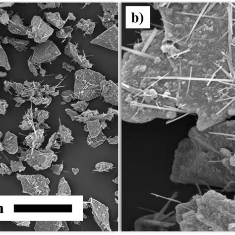Sem Micrographs Of 45s5 Bioglass Powder A And Detail View B