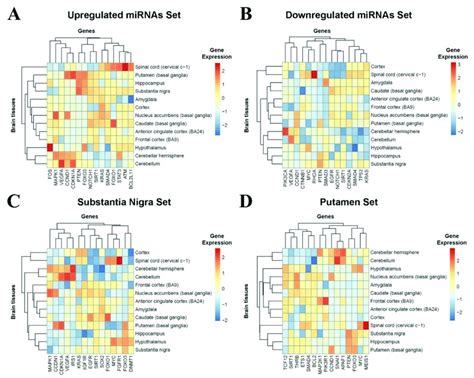 Heatmaps Showing The Hierarchical Clustering Of The Global Expression