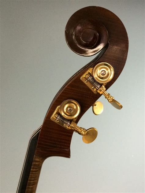 Kai Arvi Bass 7 8 Size Lemur Music