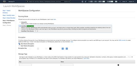 Accessing Amazon Workspaces