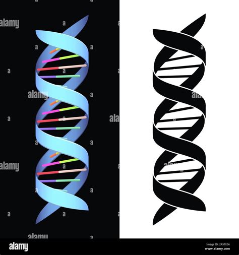 Dna Spiral Helix Isolated Vector Illustration In Both Full Color And Black Stock Vector Image