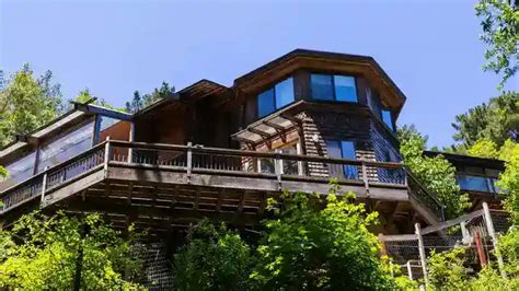 How To Prevent Tree Roots From Impacting Your Home Troutish