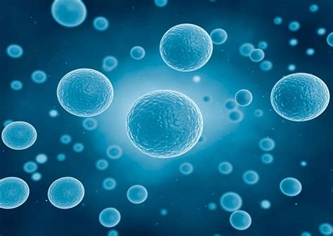Nature 小鼠衰老细胞图谱 系统记录衰老分子特征 知乎